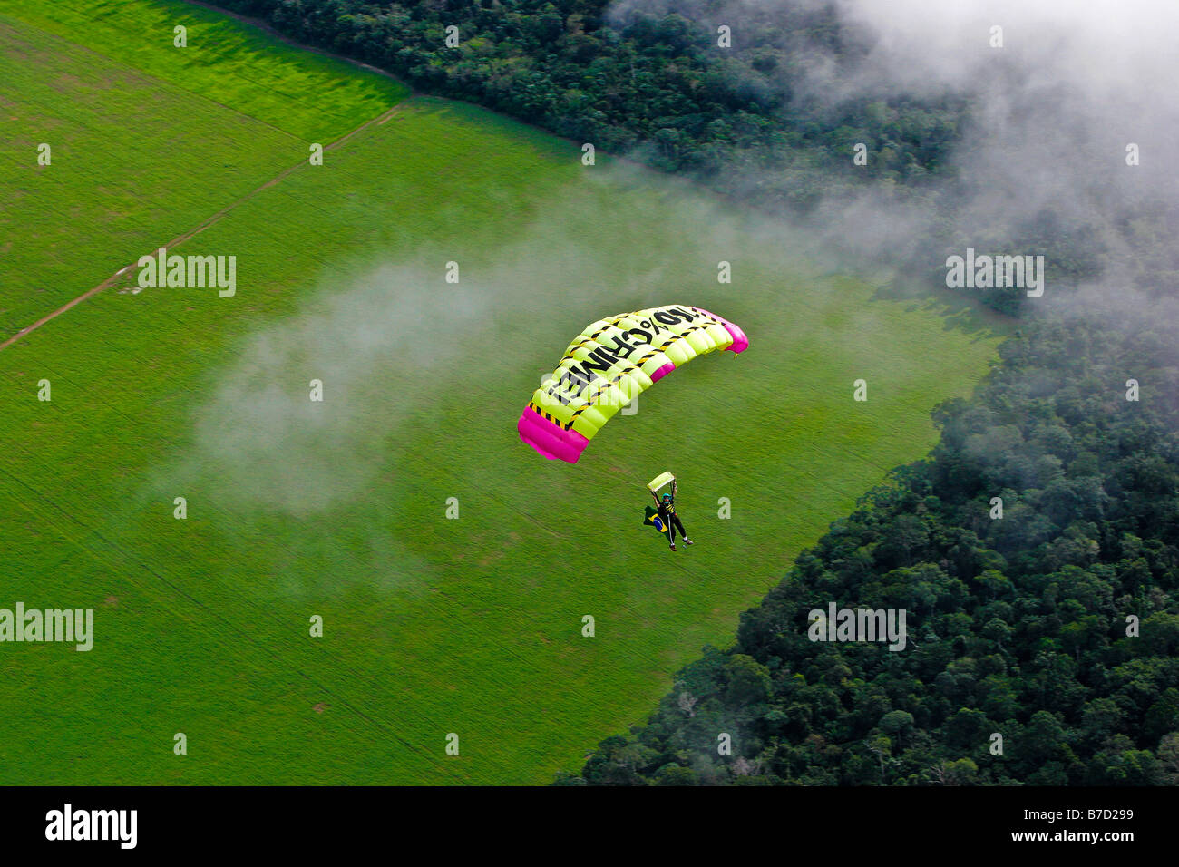 Rainforest deforestation protest hi-res stock photography and images ...