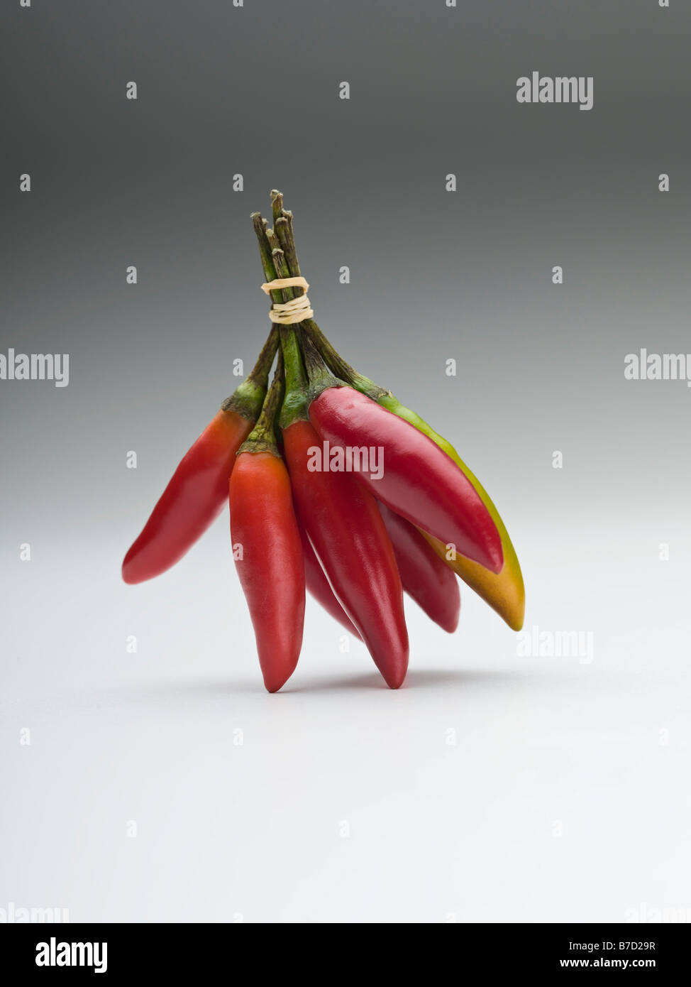 A bunch of whole fresh chilies Stock Photo - Alamy