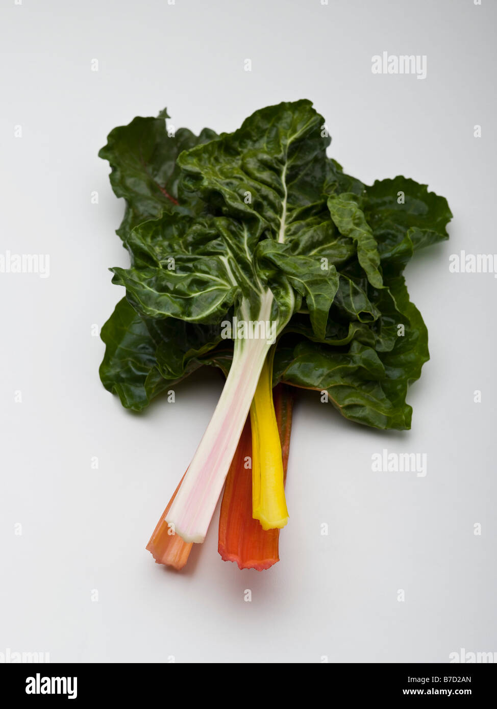 Varieties of Swiss chard Stock Photo - Alamy
