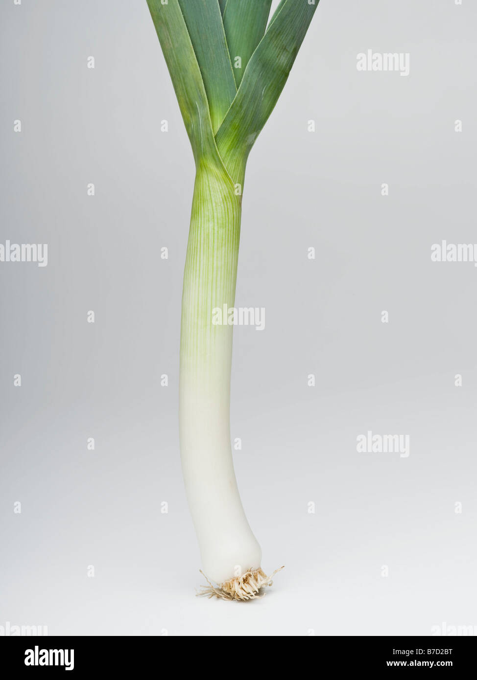 Leek photography hi-res stock photography and images - Alamy