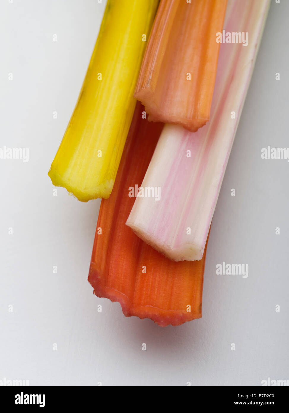 Stems of Swiss chard Stock Photo - Alamy