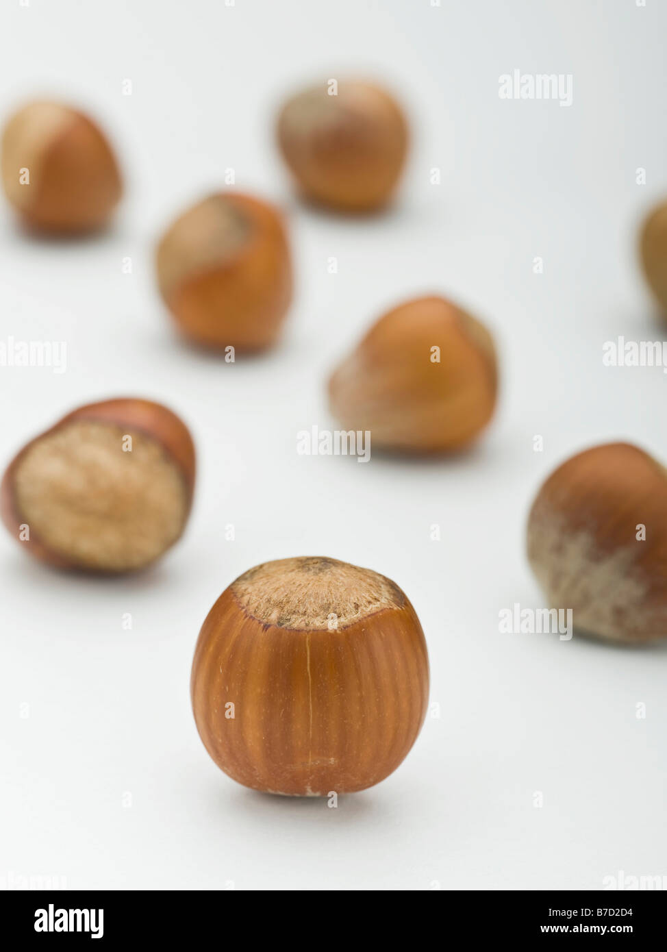 Hazelnuts studio hi-res stock photography and images - Alamy