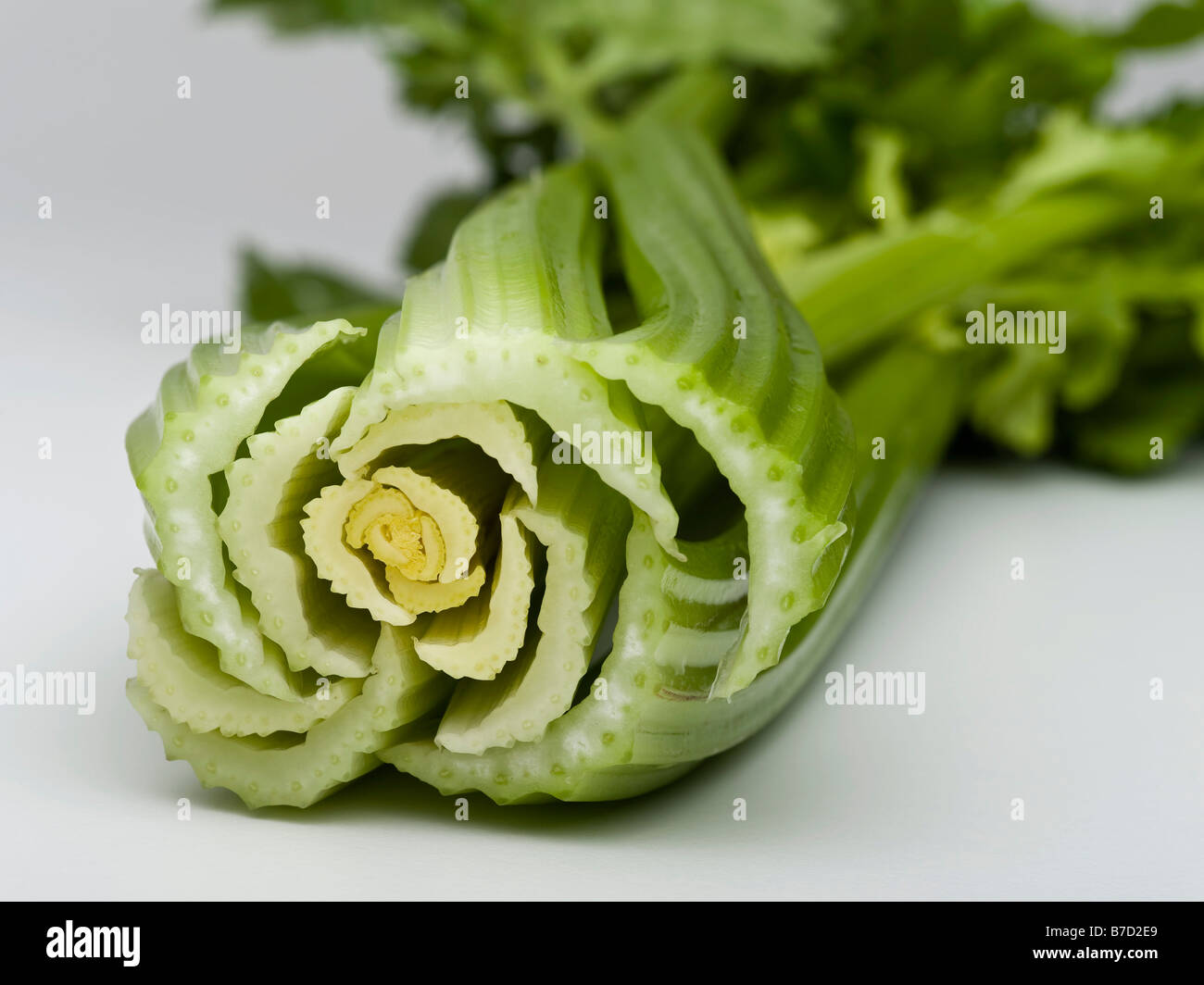 Stem of celery Stock Photo - Alamy