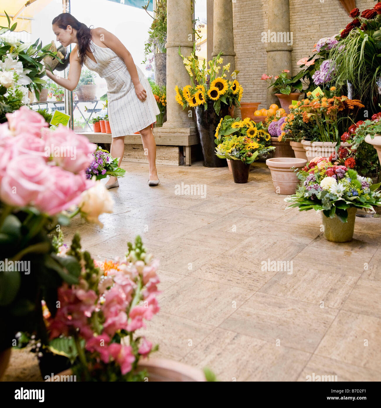 Inside of flower hi-res stock photography and images - Alamy