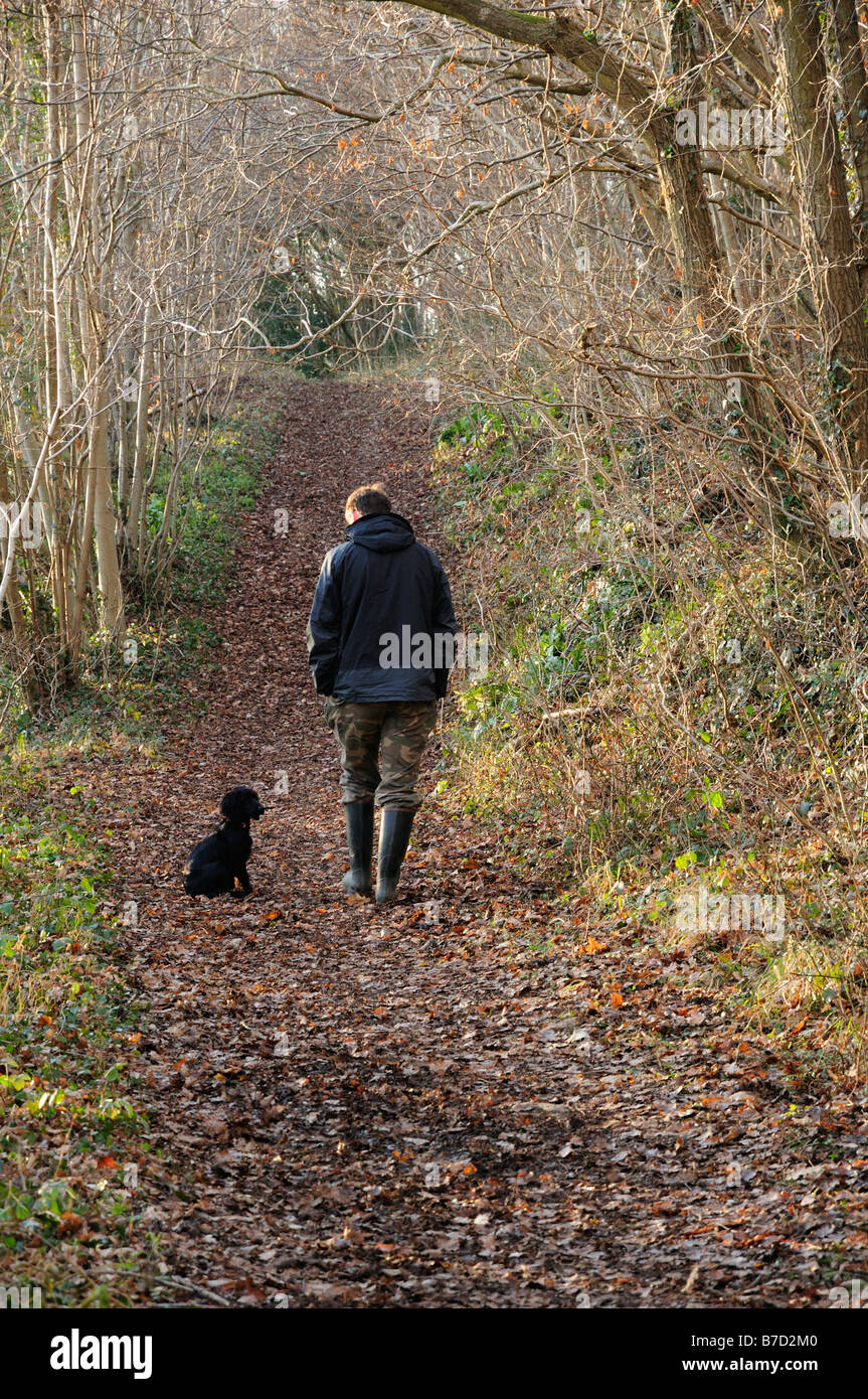 Man Walking his Dog Stock Photo - Alamy