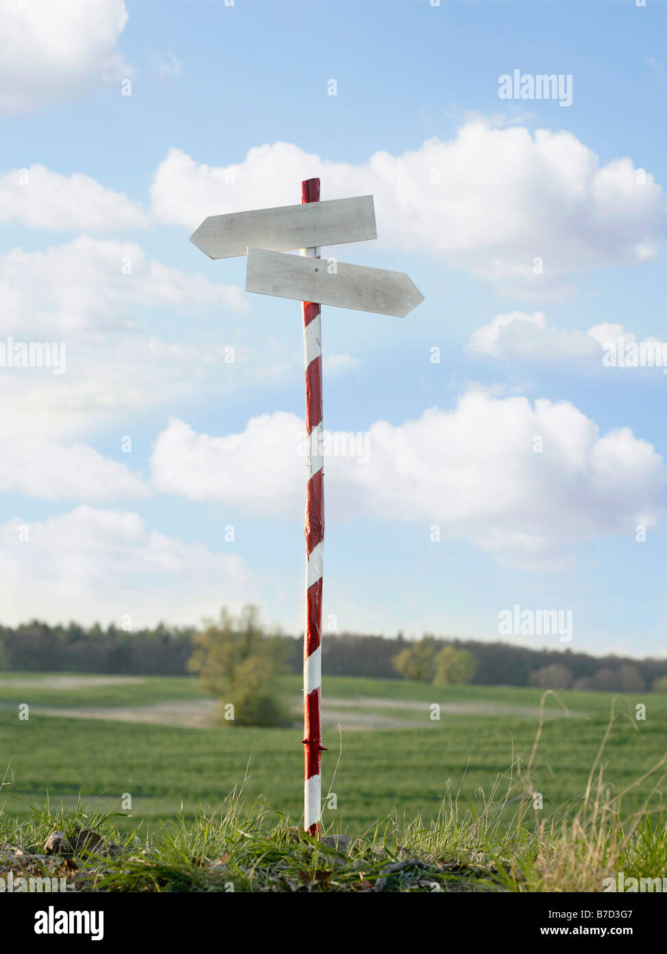 Blank Crossroads Sign