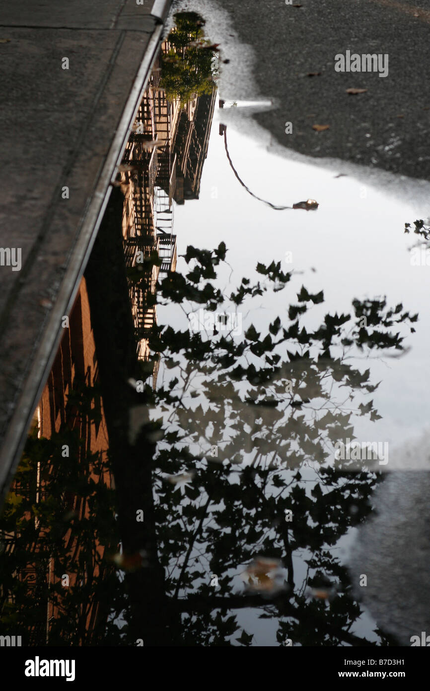 Street scene reflected in a puddle Stock Photo - Alamy
