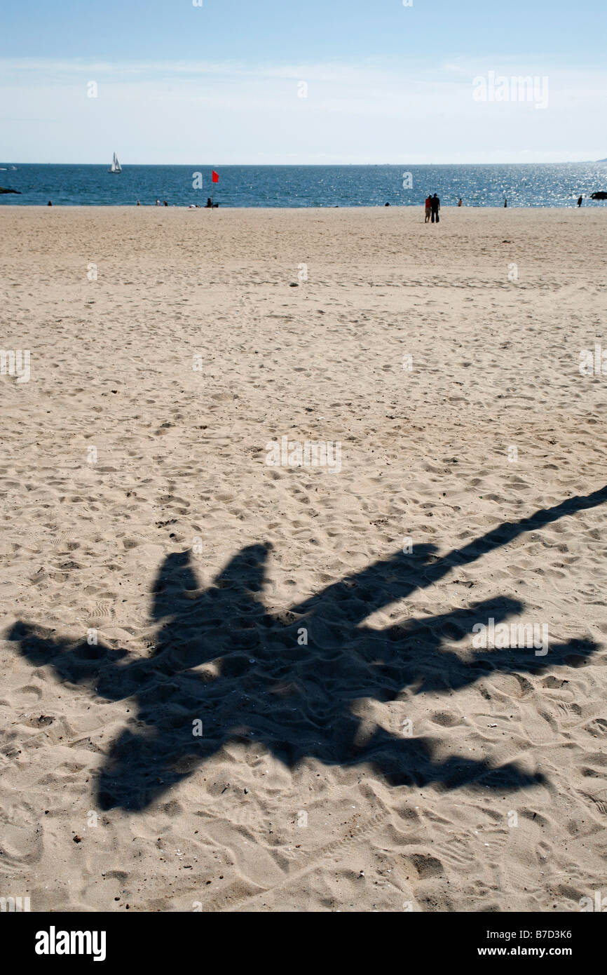 Beach shadow tree sea hi-res stock photography and images - Alamy