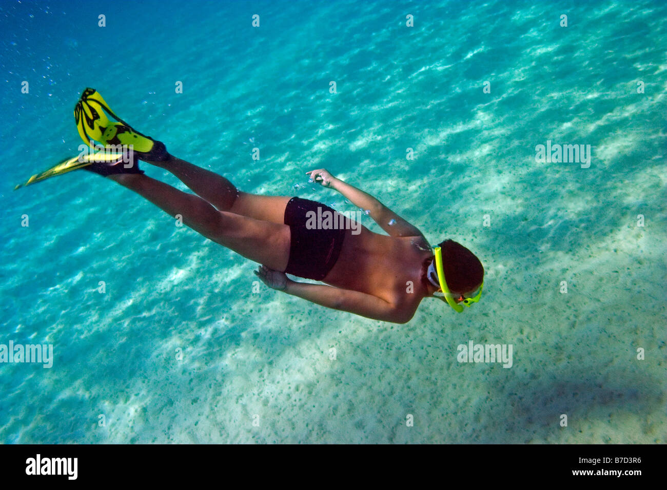 Snorkel and swim hi-res stock photography and images - Alamy