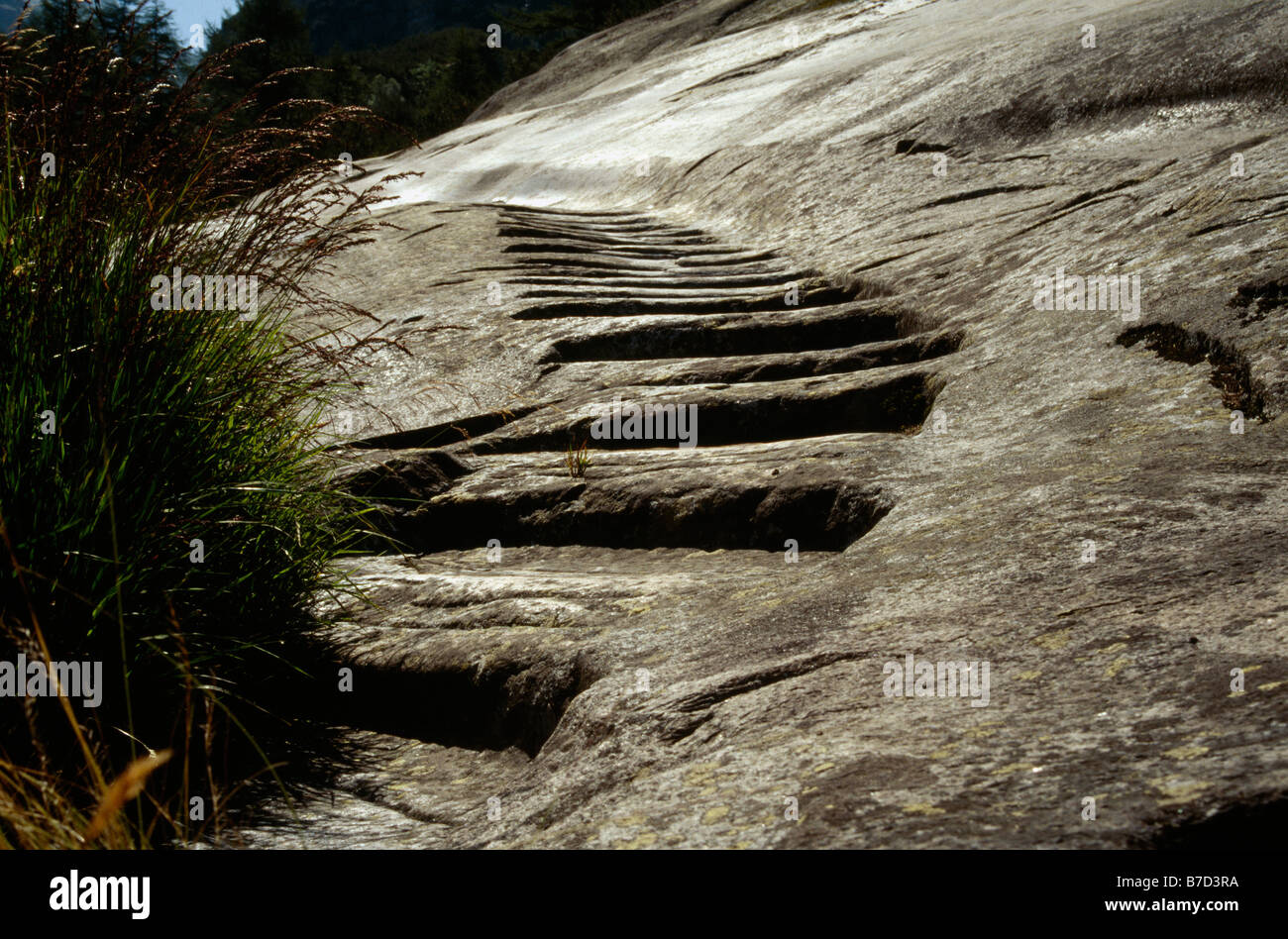 Steps on a mountain path Stock Photo - Alamy