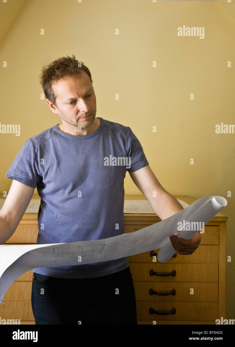 Man looking over blue prints Stock Photo - Alamy