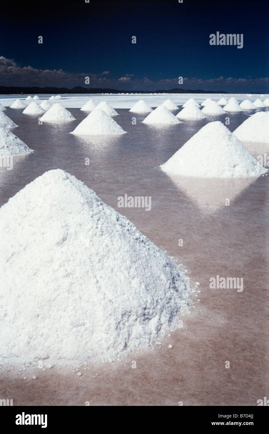 Piles of mined salt are lined up on the salt flats at Uyuni Bolivia ...