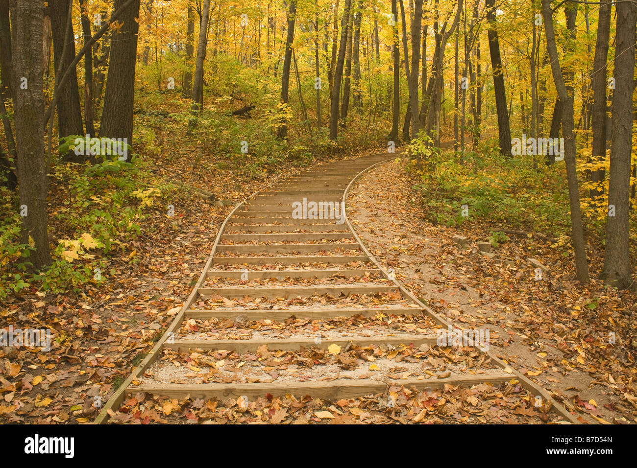 WISCONSIN - Steps on trail to the Parnell Observation Tower in Kettle ...