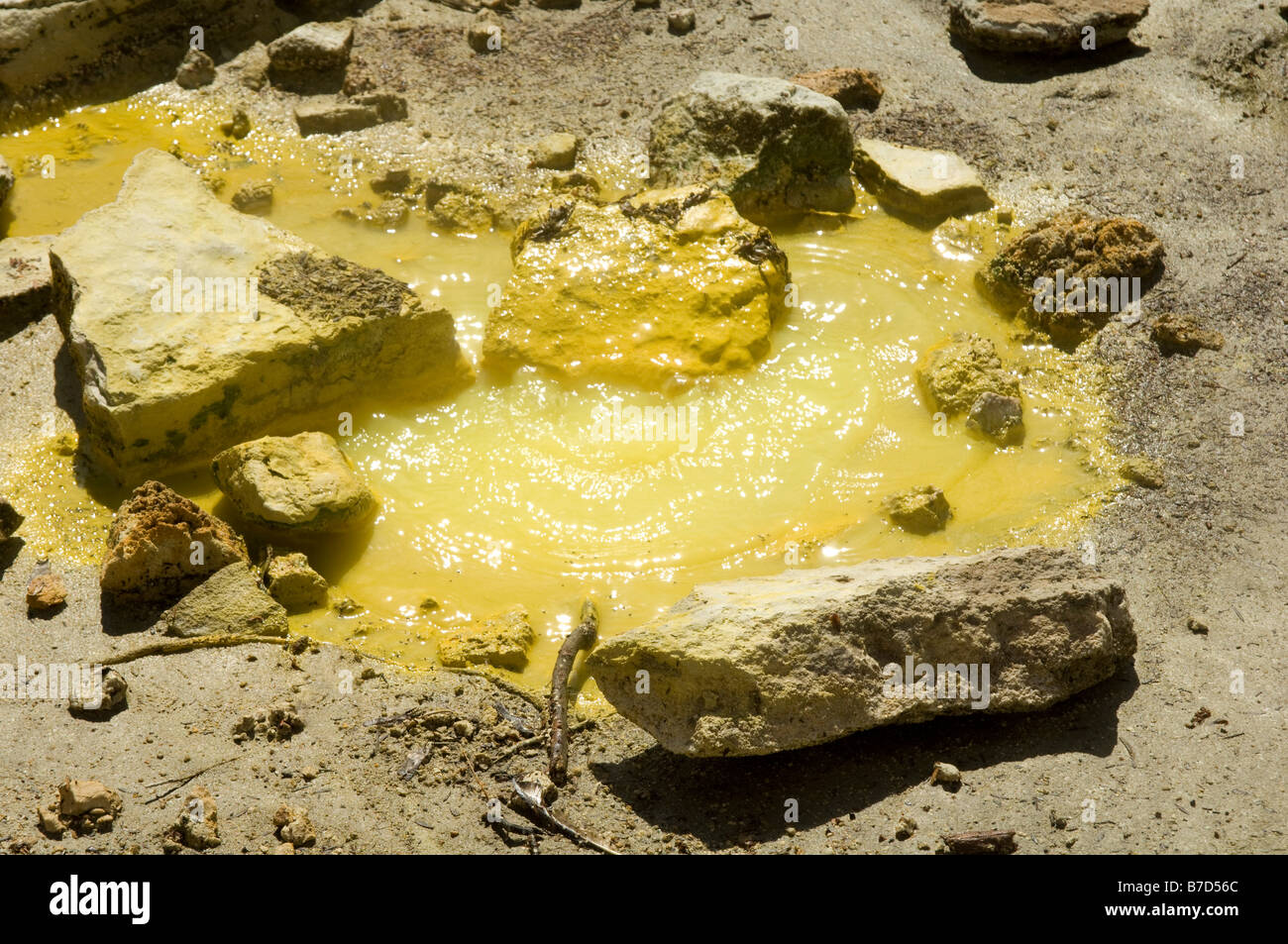 Sulphur pool at Wai-o-Tapu (Sacred Waters) Thermal Wonderland park near ...