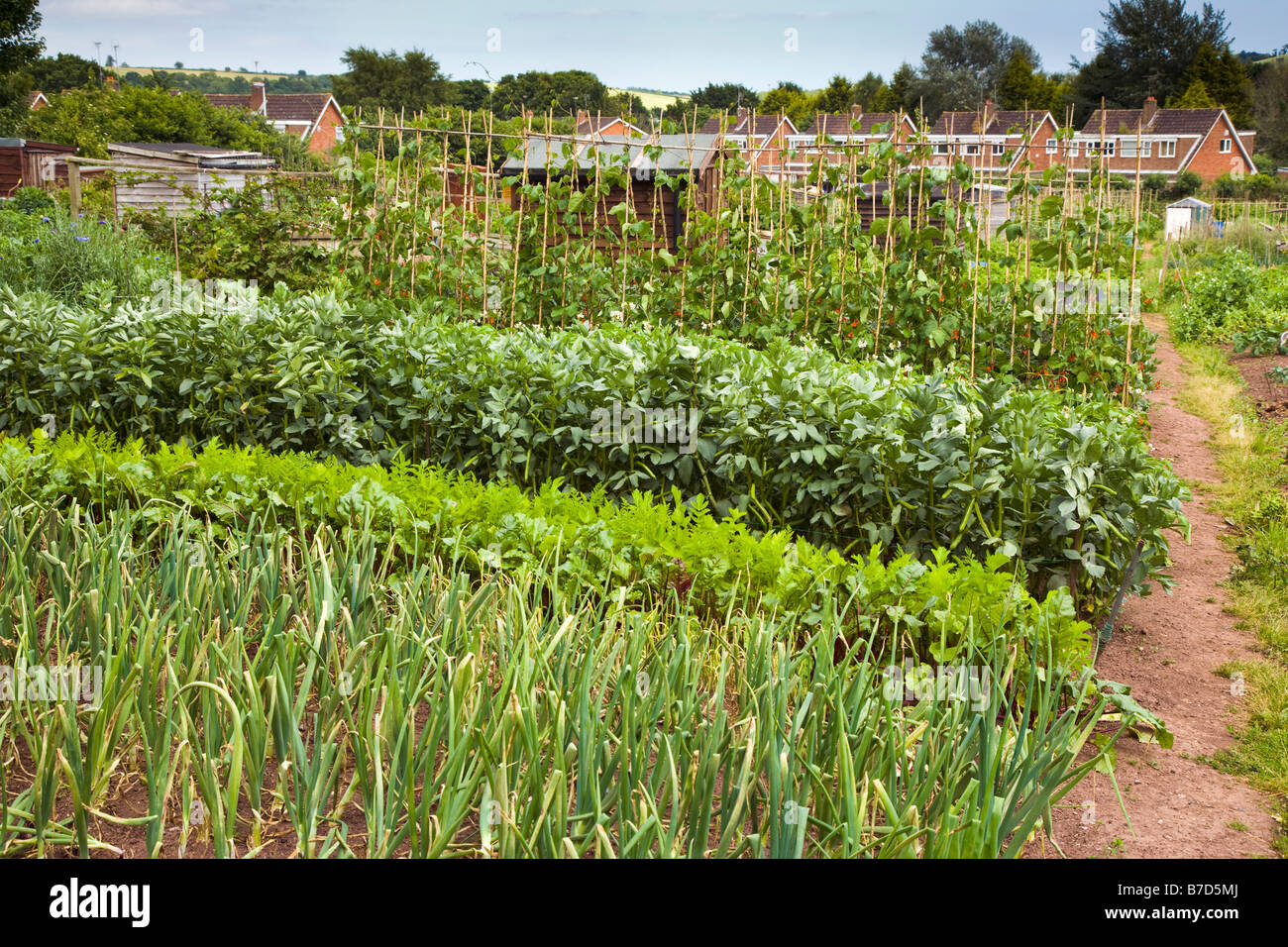 Allotment uk hi-res stock photography and images - Alamy