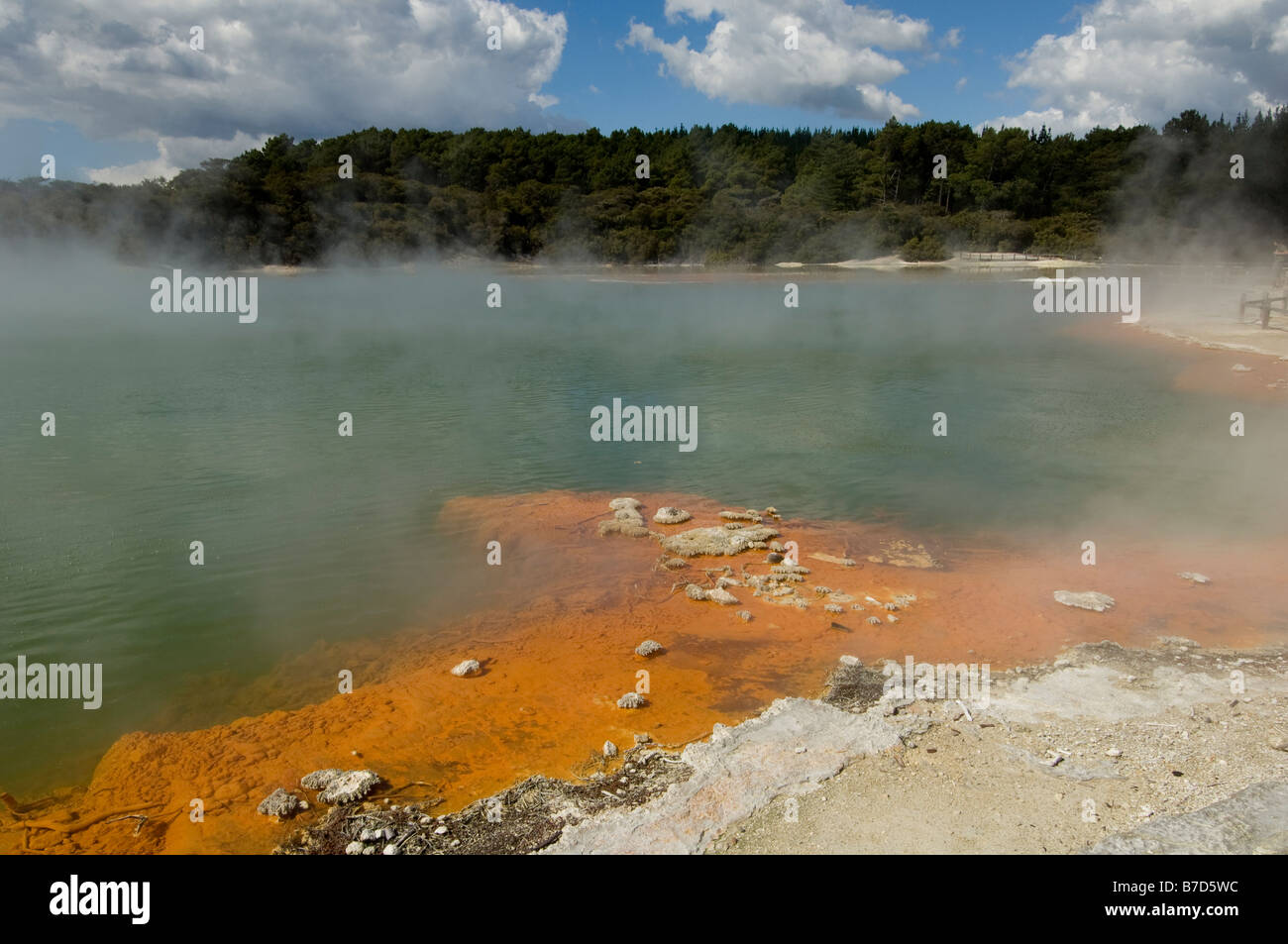 Wai-o-Tapu (Sacred Waters) Thermal Wonderland park. The Champagne Pool ...