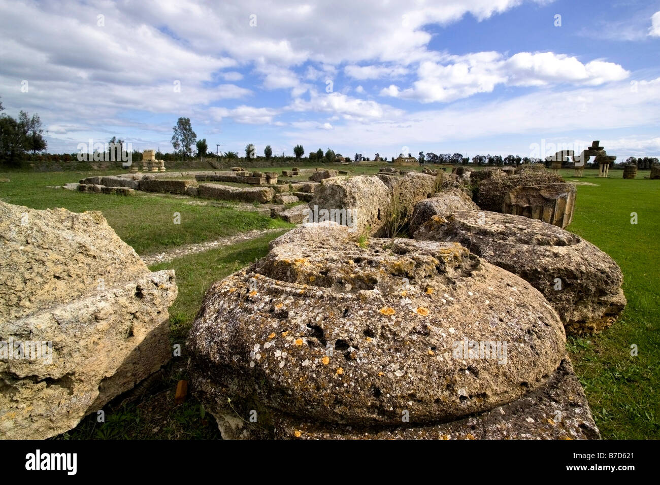 Metaponto archaeological area, Bernalda, Basilicata, Italy Stock Photo ...
