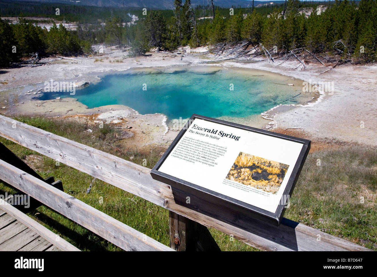 Emerald Spring, Norris Geyser Basin, Yellowstone National Park, Wyoming ...