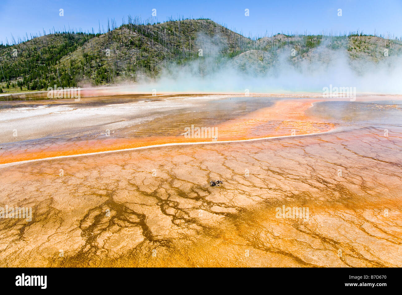 Grand Prismatic Spring, Midway Geyser Basin, Yellowstone National Park ...