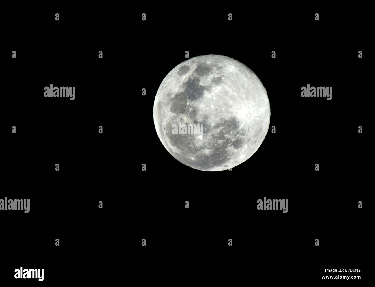 Moon hare hi-res stock photography and images - Alamy