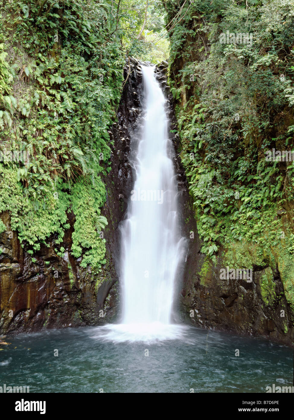 Chute de Lingoni Falls in jungle Anjouan Ndzuani island of Comoros ...