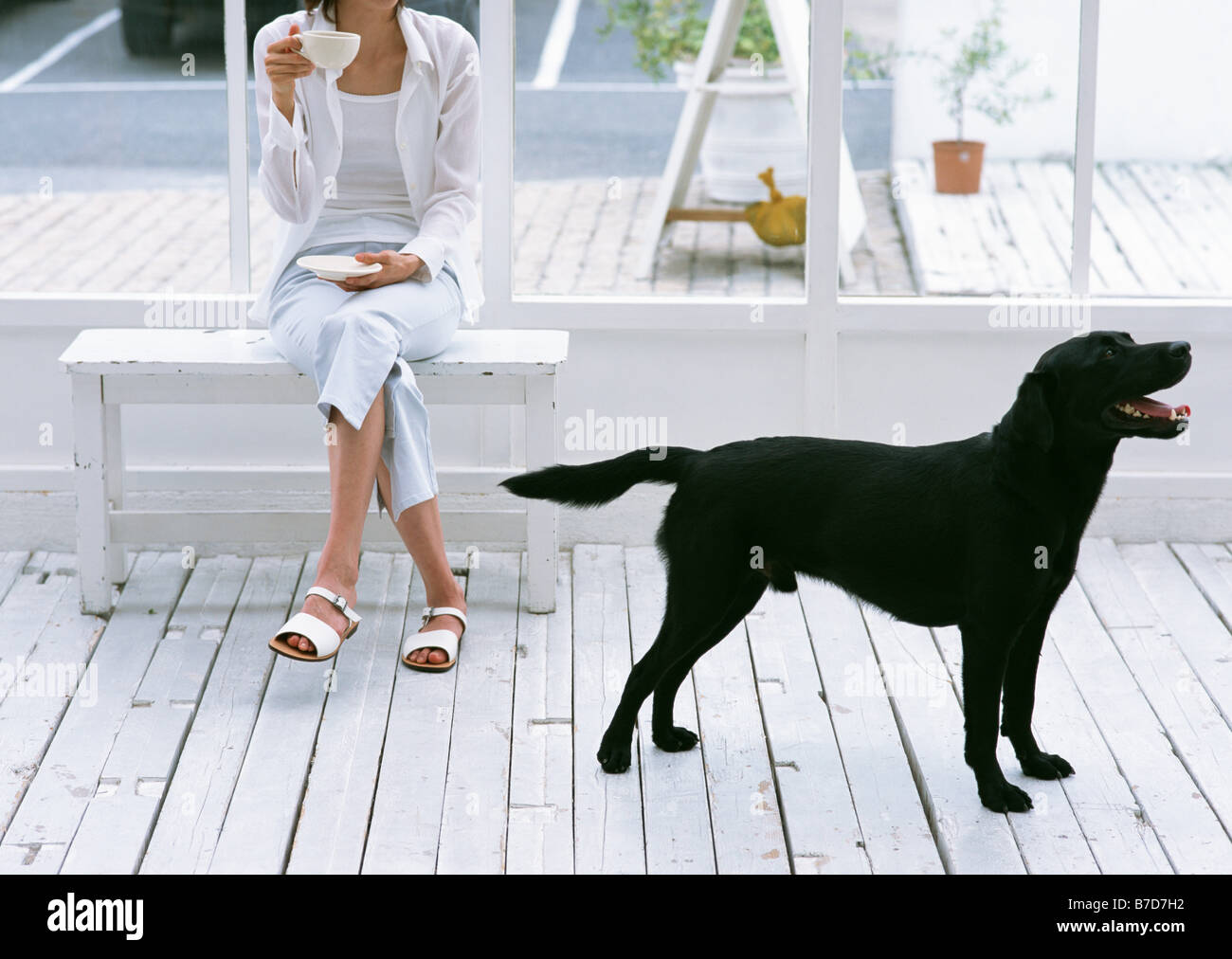 Tea break with dog Stock Photo - Alamy