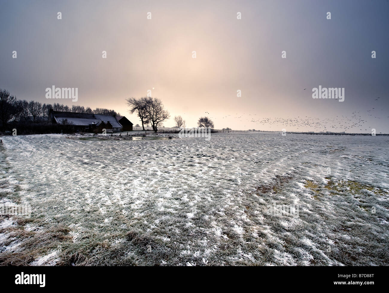 winter landscape in Friesland The Netherlands Stock Photo - Alamy