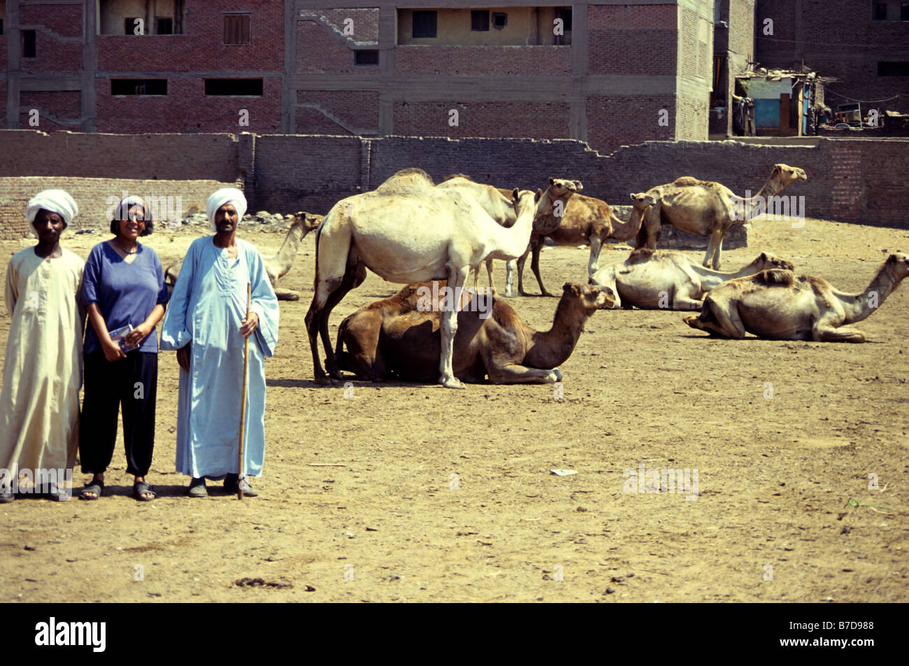 Tourist and locals at the famous Imbaba camel market in Cairo, Egypt ...