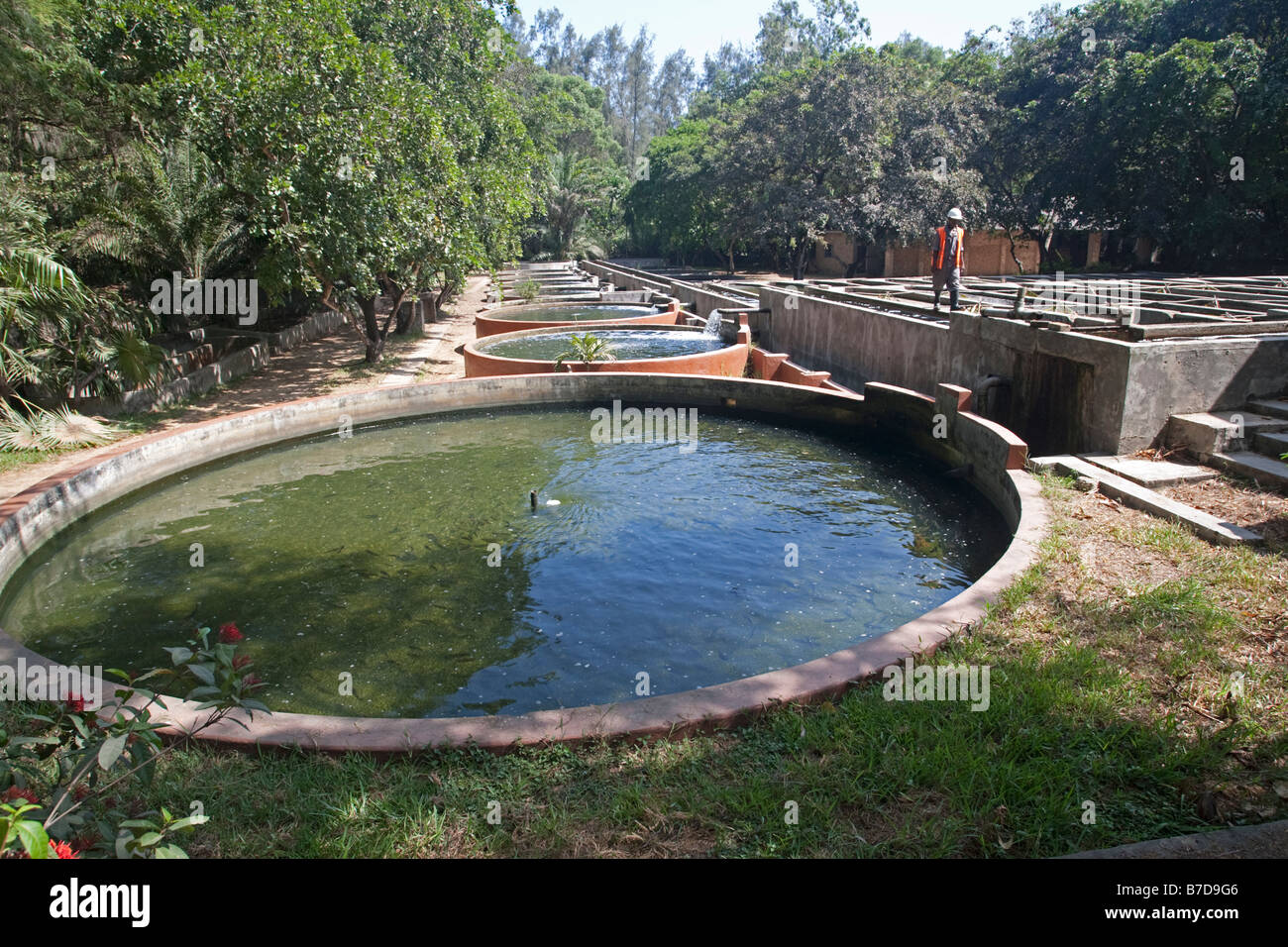 Aquaculture Ponds High Resolution Stock Photography and Images - Alamy