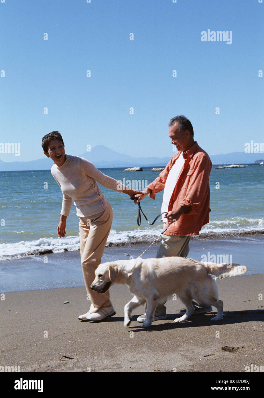 Walk with Dog Stock Photo - Alamy