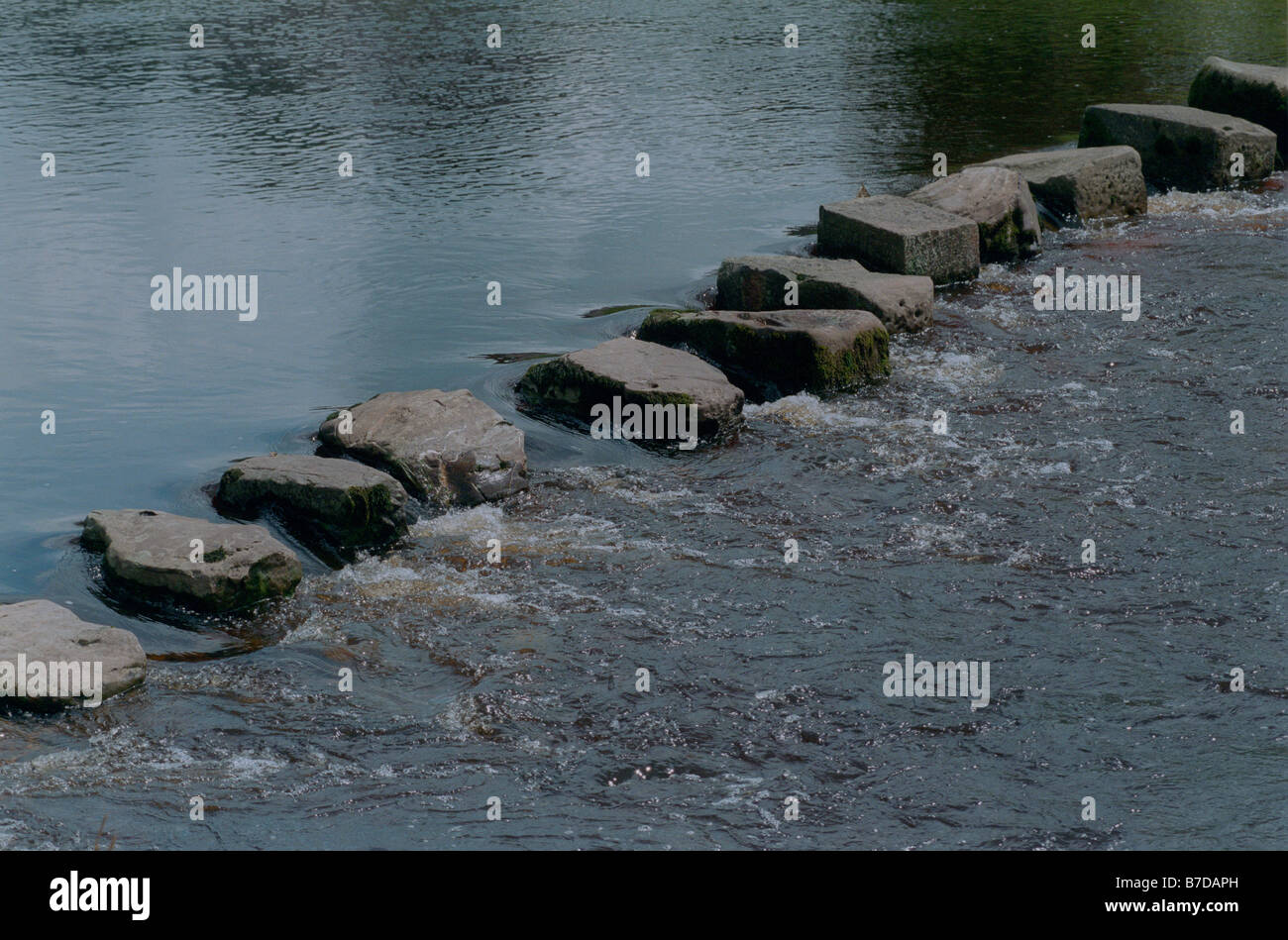 Stepping stones across the River Hodder, Lancashire, England Stock ...