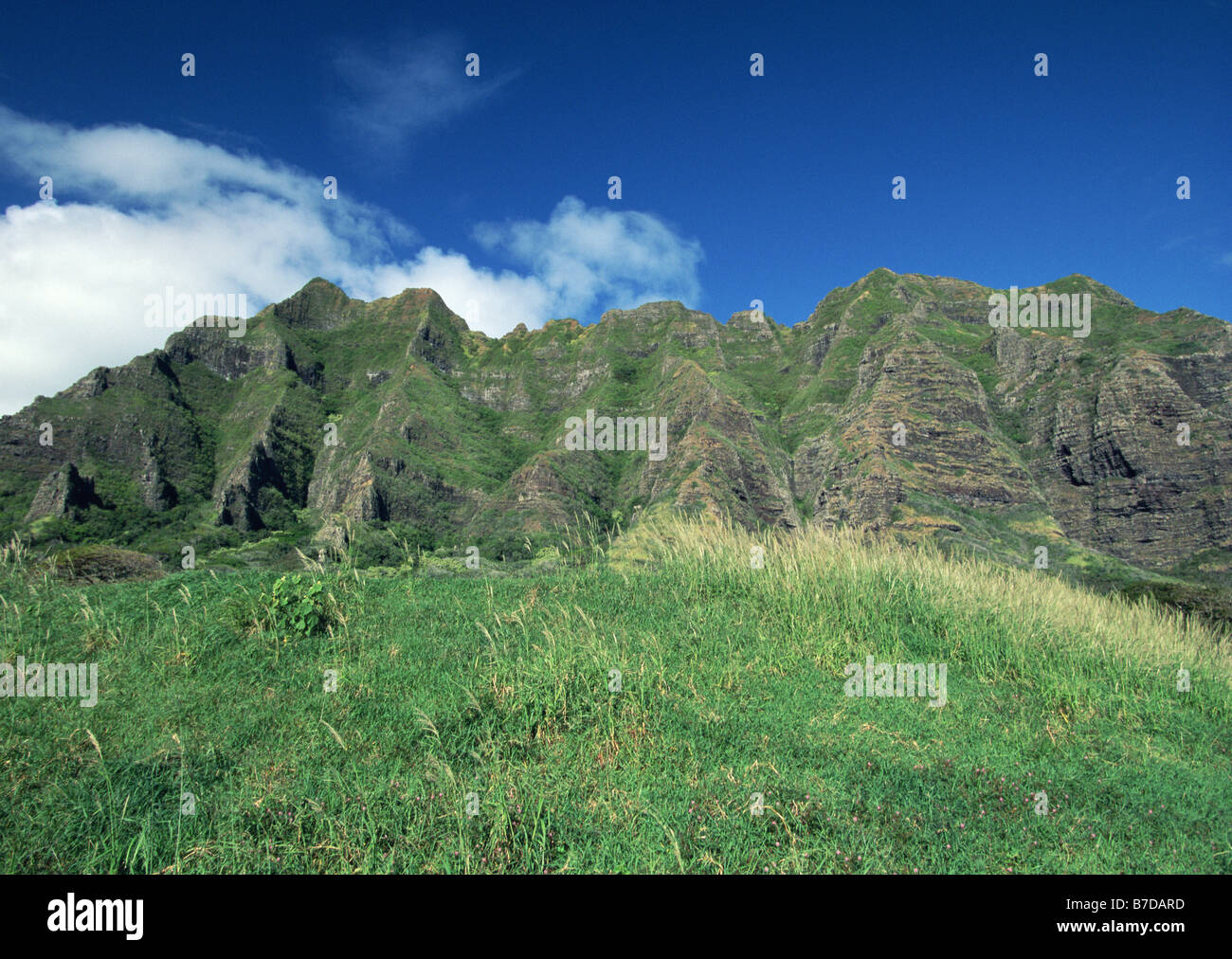 Low grassy slope hi-res stock photography and images - Alamy