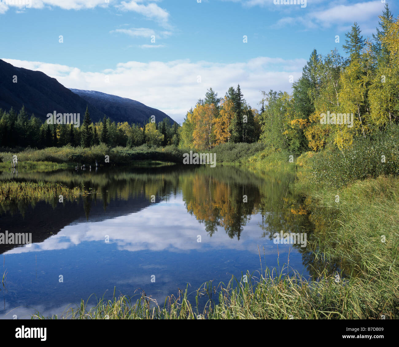 Russia. Yamal Region. Polar Urals. Autumn Stock Photo - Alamy