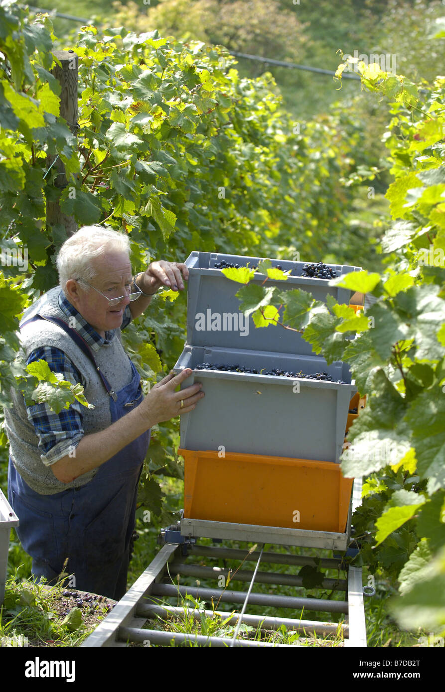 Completed boxes for the evacuation hi-res stock photography and images ...