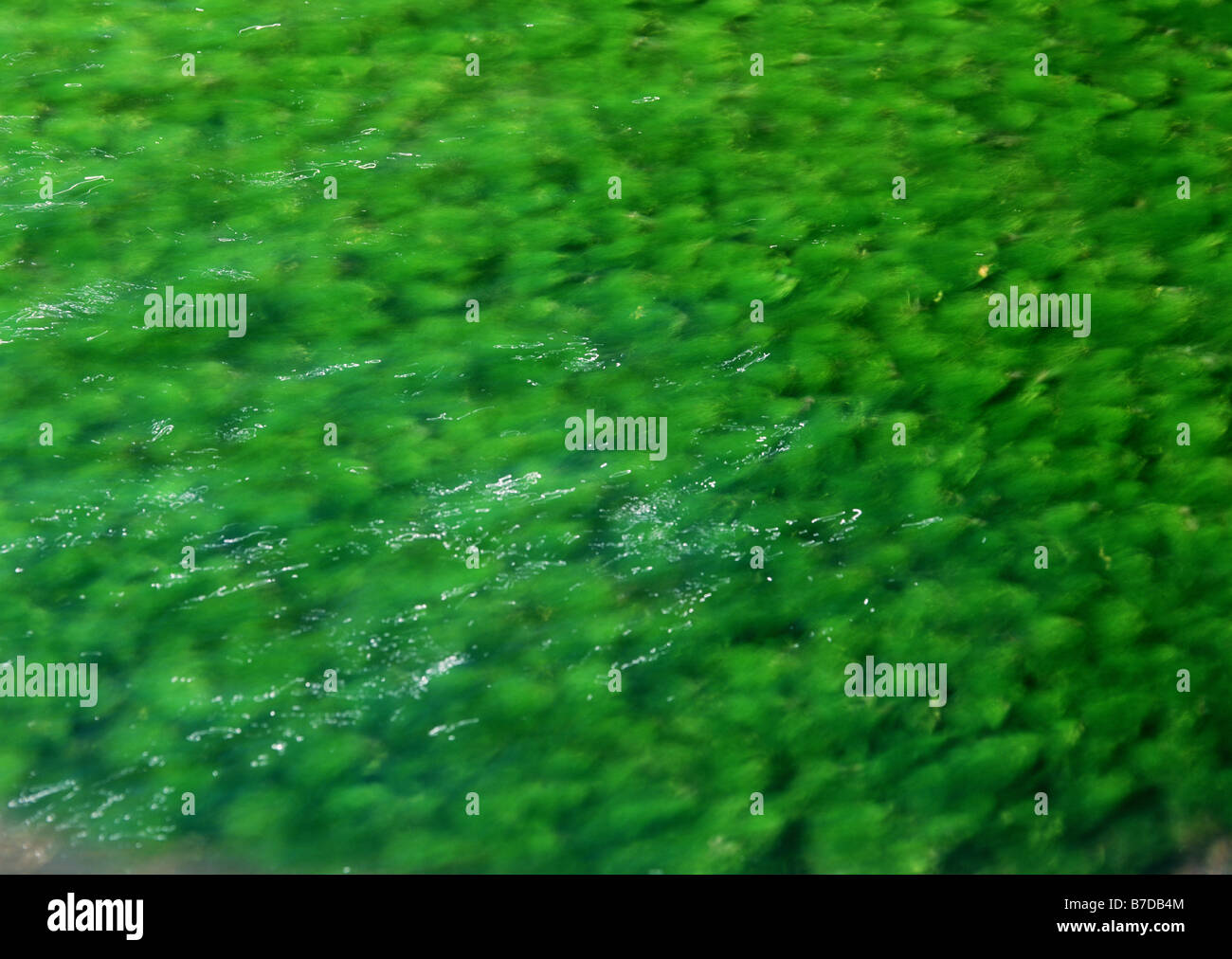 Surface of the Water Stock Photo - Alamy