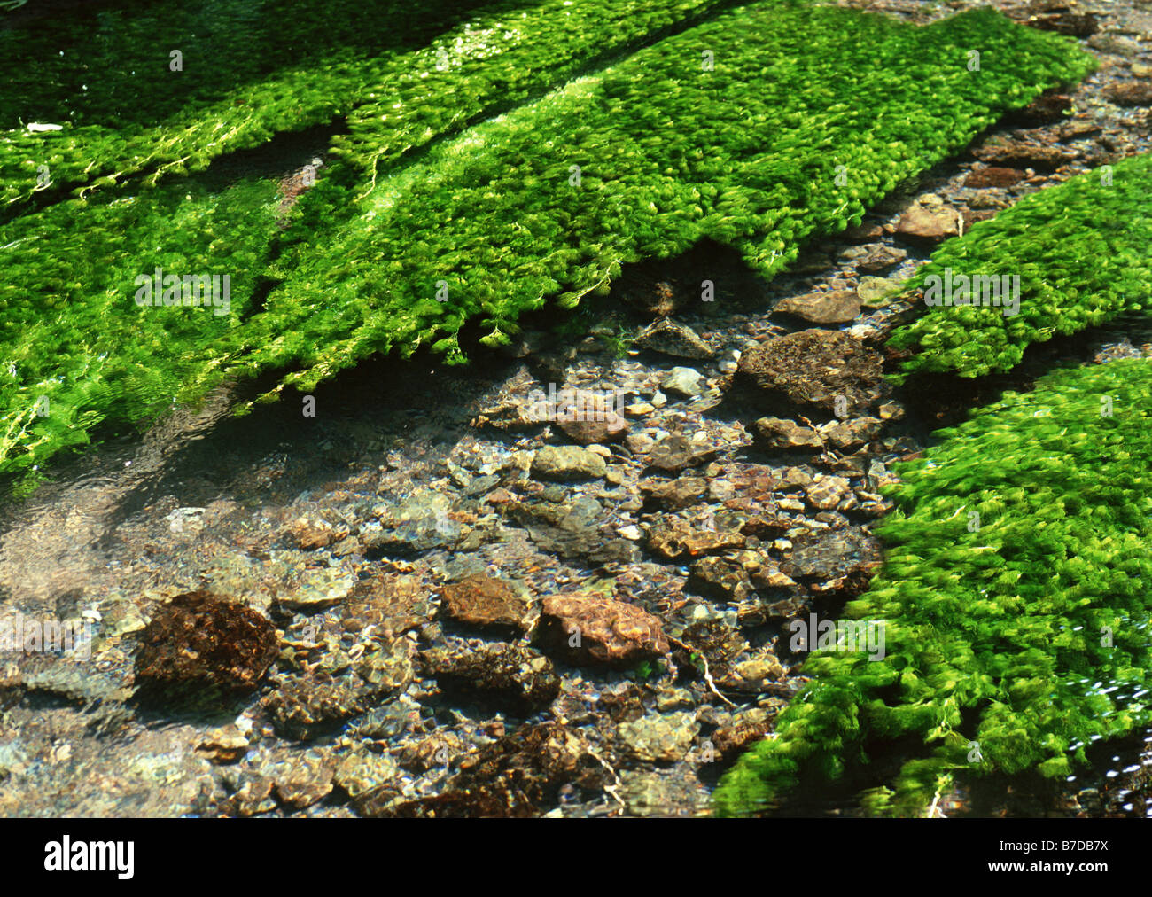 Surface of River Stock Photo - Alamy