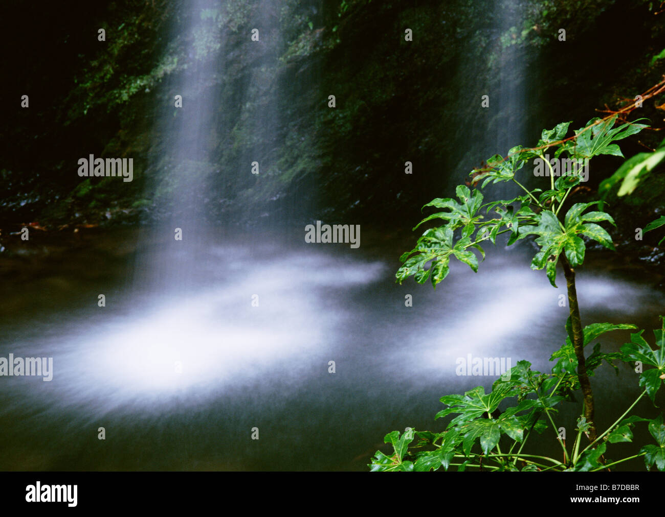 Waterfall process image hi-res stock photography and images - Alamy