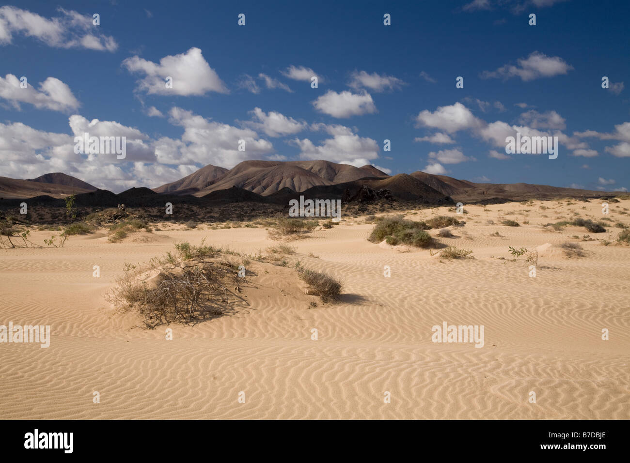 Spanish sahara hi-res stock photography and images - Alamy