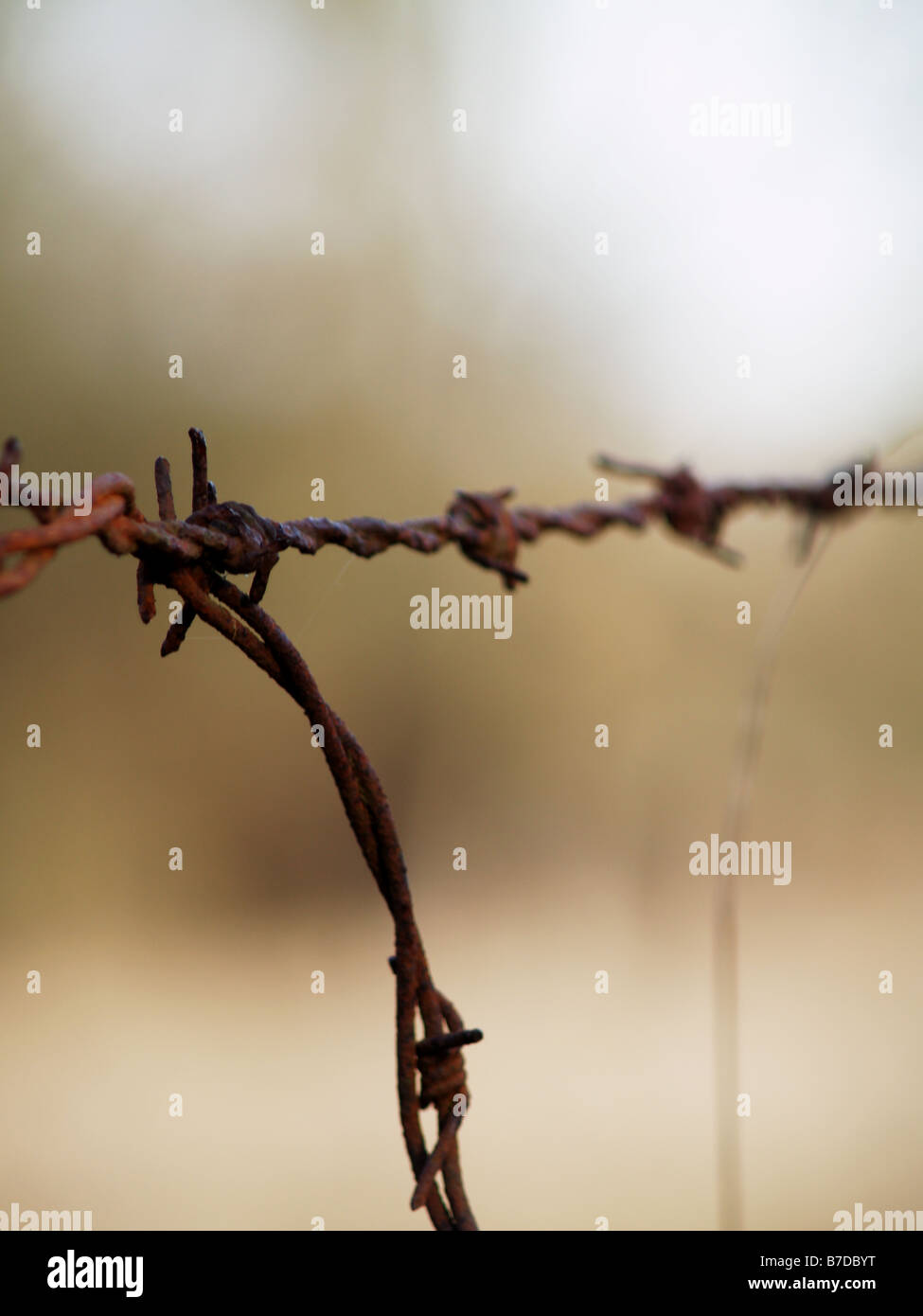 Bard wire hi-res stock photography and images - Alamy