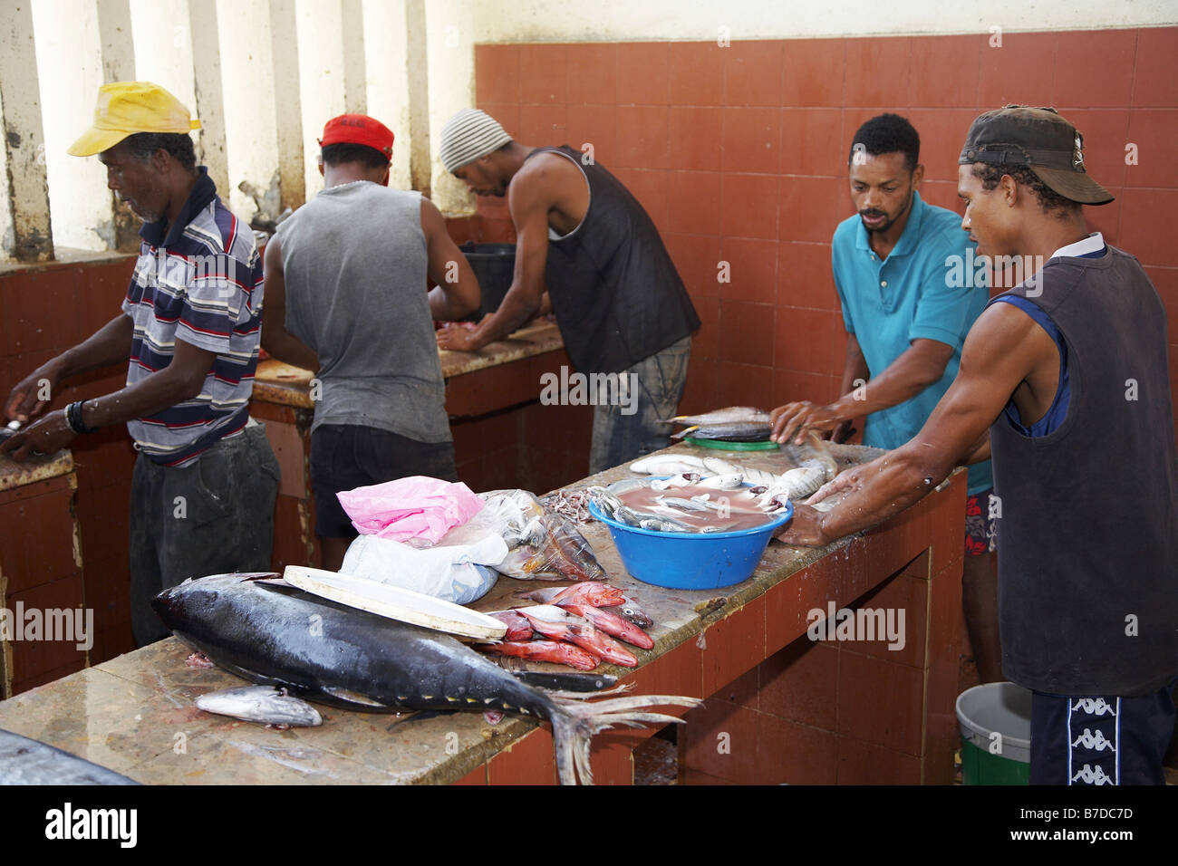 fish market scenery. Men cutting fish, Cap Verde Islands, Cabo Verde ...