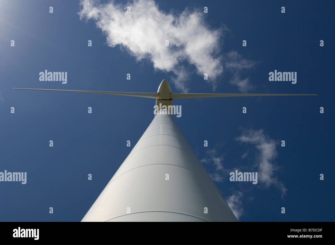 Wind Turbine in Wellington, New Zealand Stock Photo - Alamy