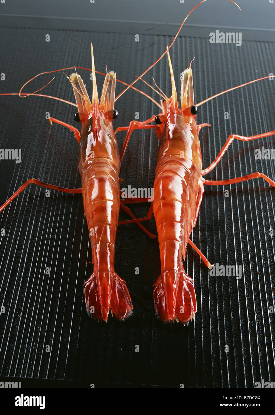 Botan shrimp hi-res stock photography and images - Alamy