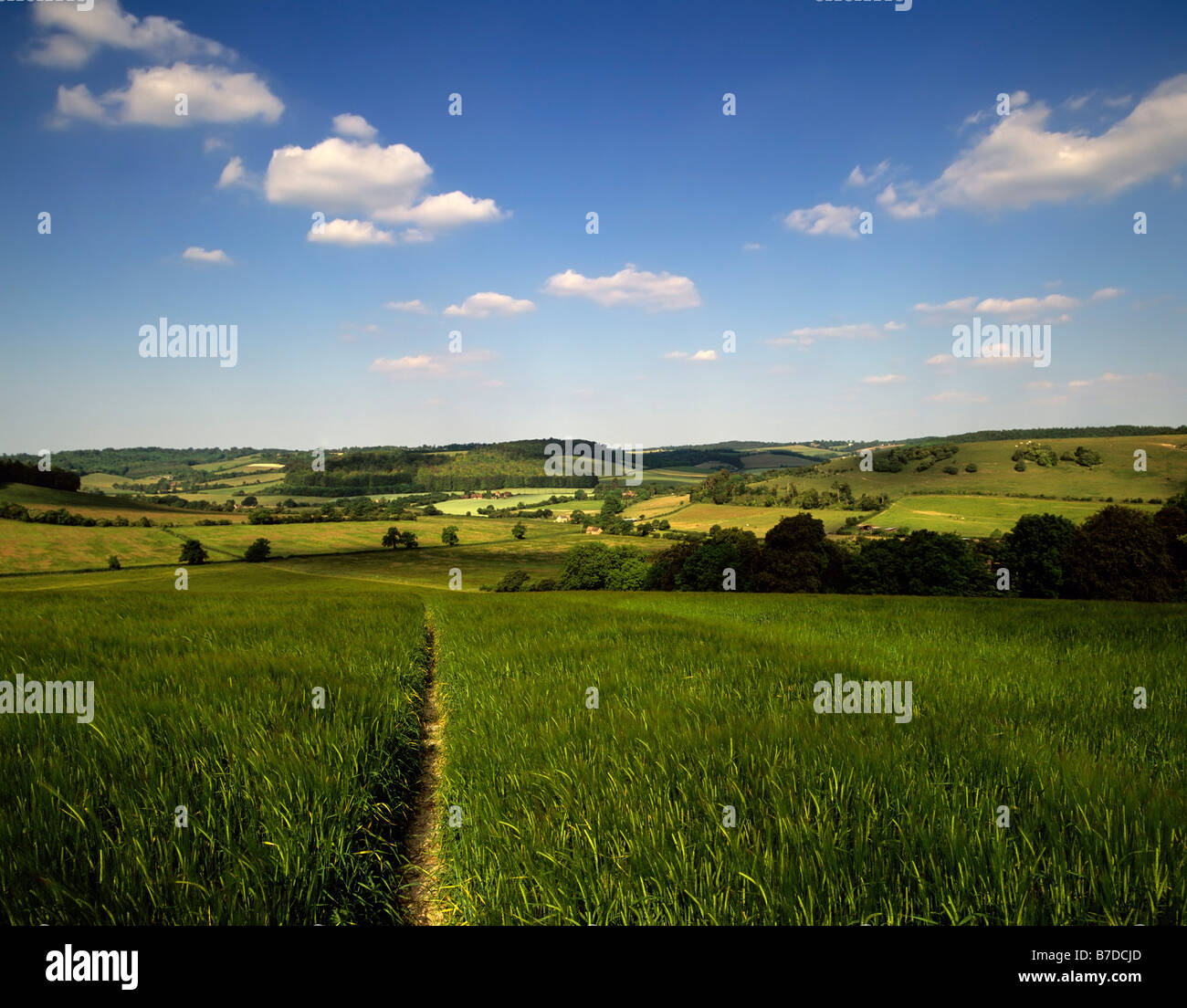 england home counties the chilterns buckinghamshire views from the ...