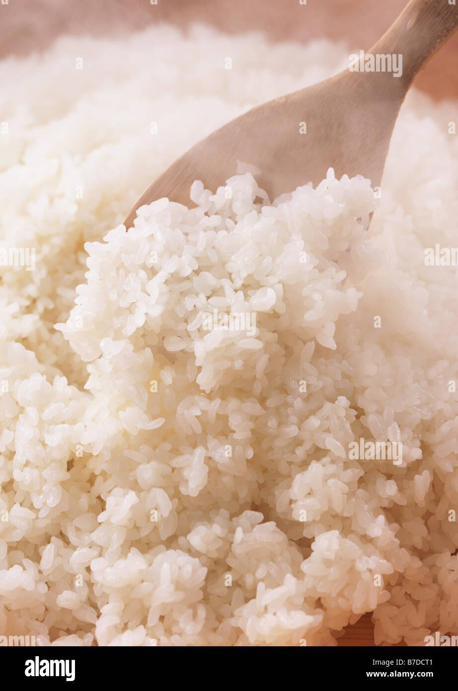 Image of Sushi rice Stock Photo - Alamy