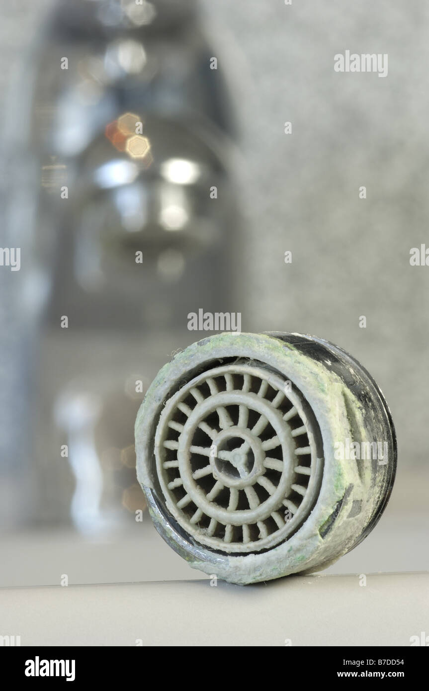 Calcified hi-res stock photography and images - Alamy