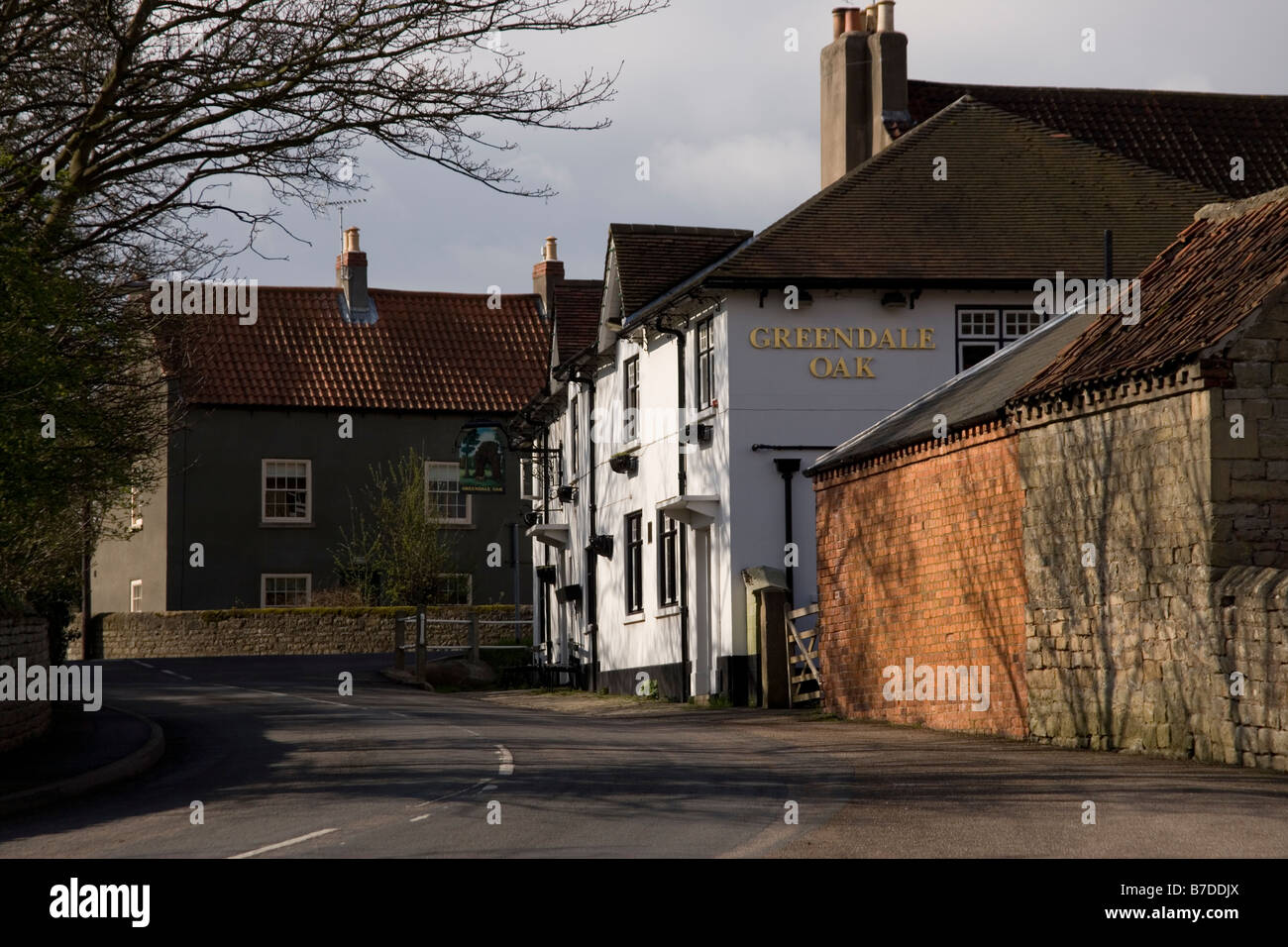 The greendale oak hi-res stock photography and images - Alamy