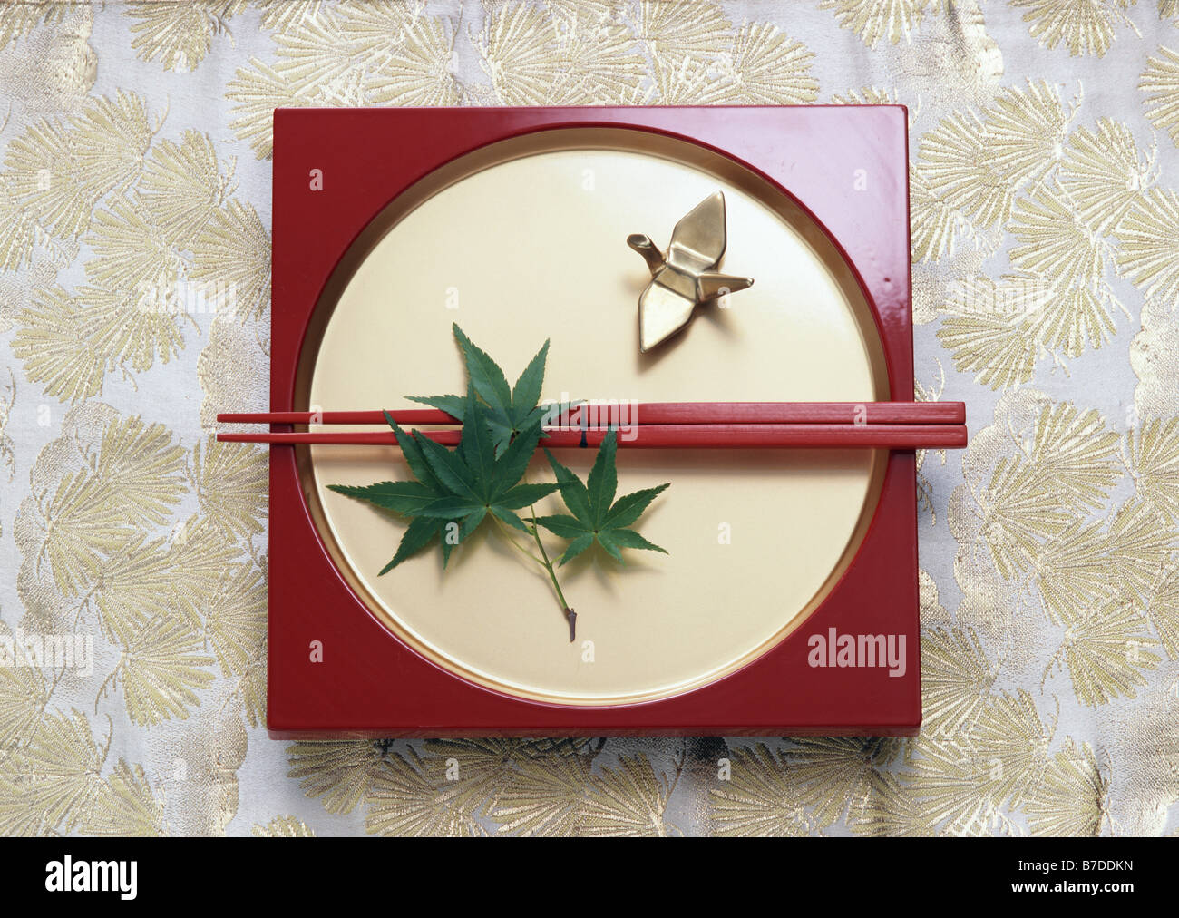 Japanese maple container hi-res stock photography and images - Alamy