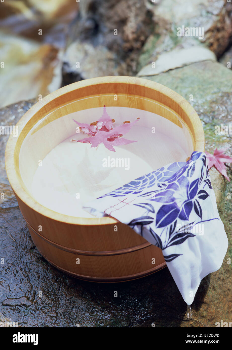 Japanese maple container hi-res stock photography and images - Alamy