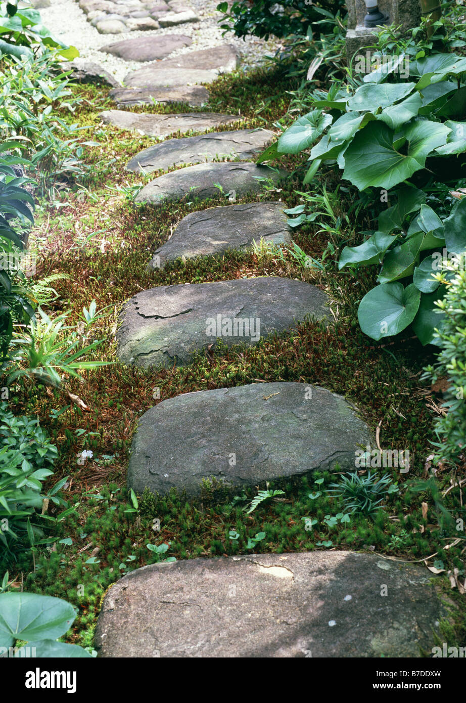 Stepping solid hi-res stock photography and images - Alamy