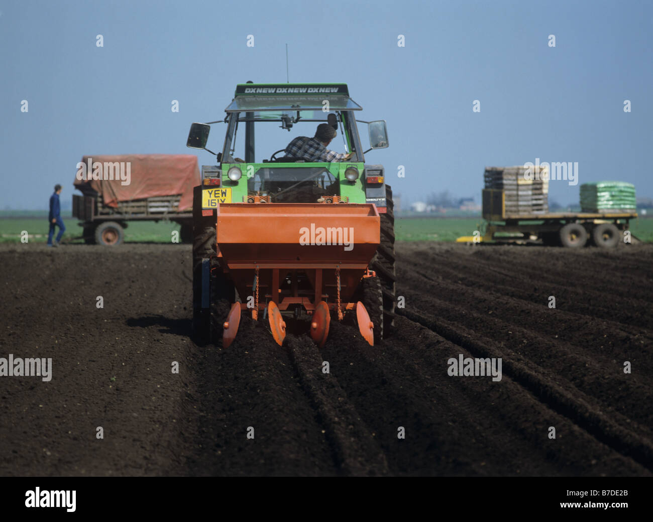 Two row planter planting a potato crop in dark Fenland soil Stock Photo ...